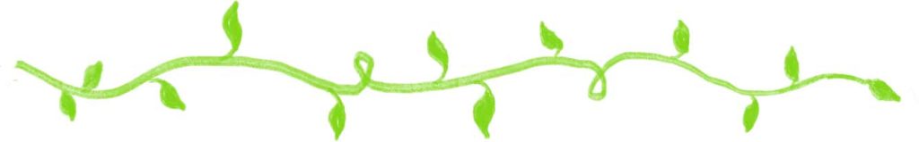 Ebeneezer Ridges Child Care – intergenerational child care in south ...